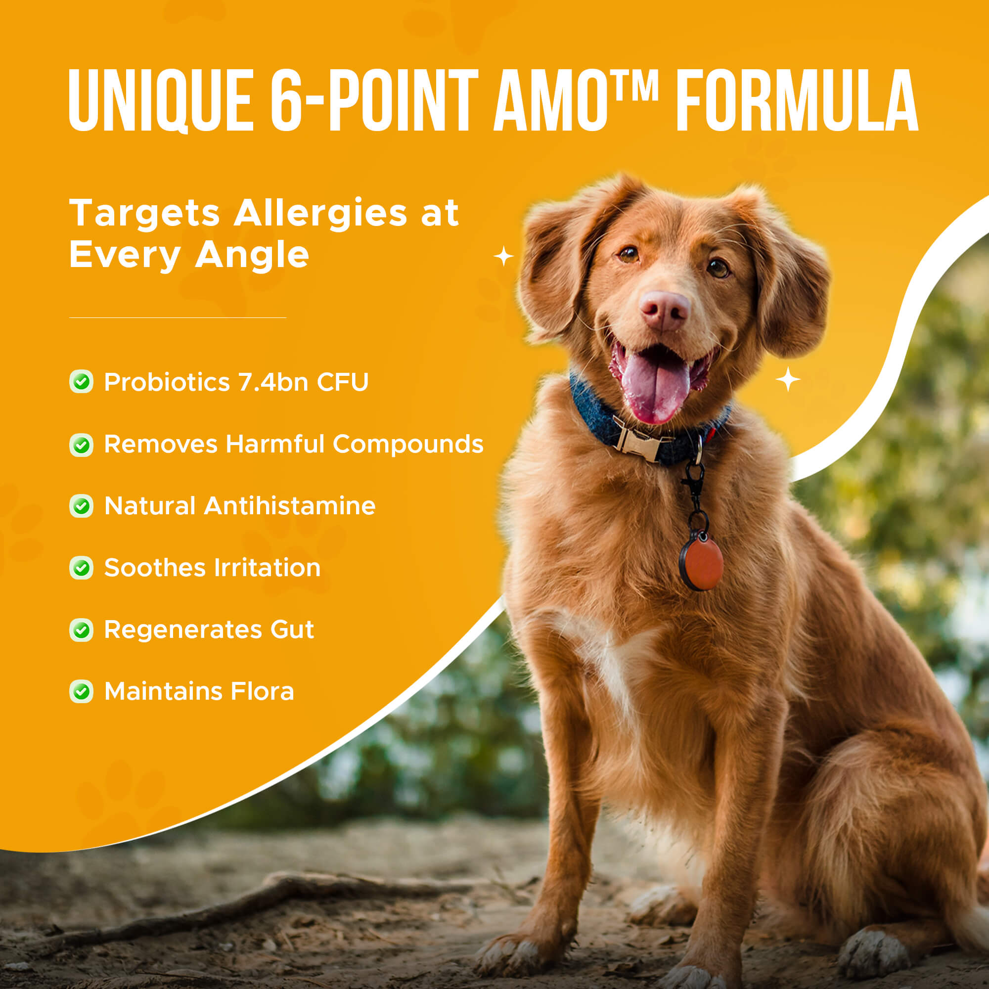 All Products – Pick Peanut